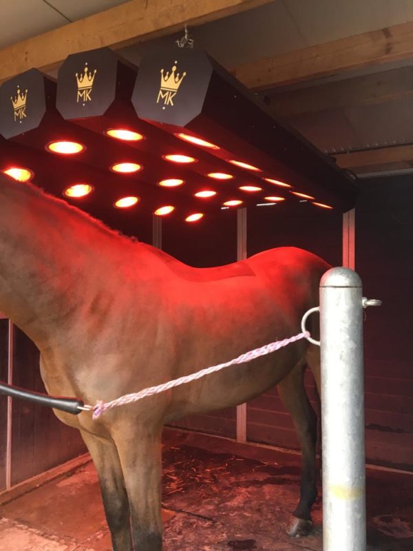 Solarium - Molenkoning - Dry and relax your horses!
