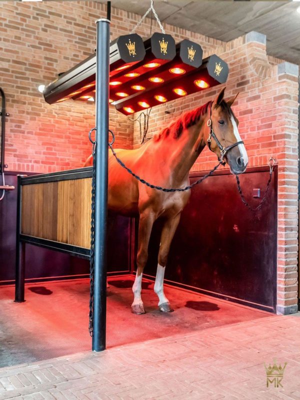 Solarium - Molenkoning - Dry and relax your horses!